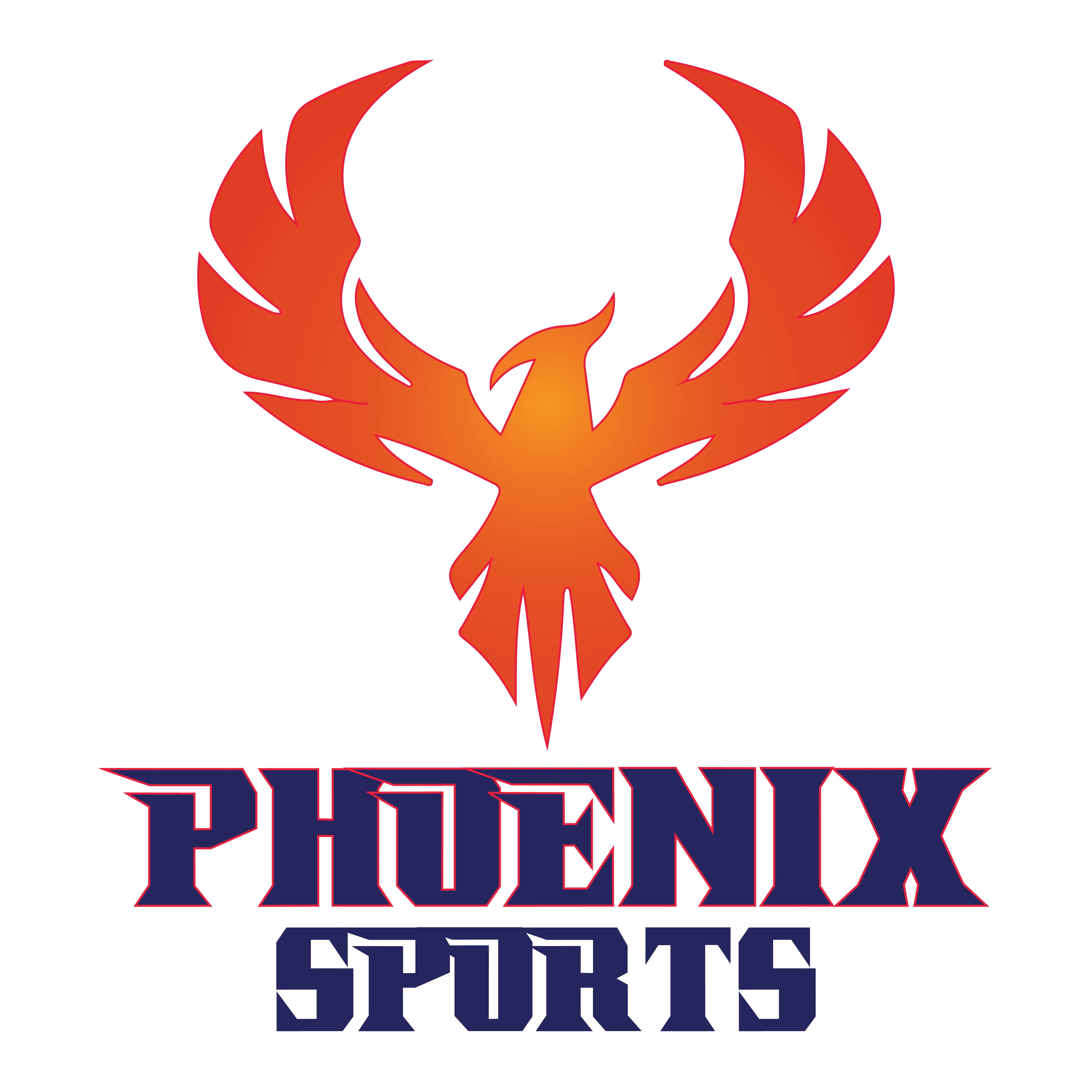 Best Sports Training in Bangalore | Phoenix Sports